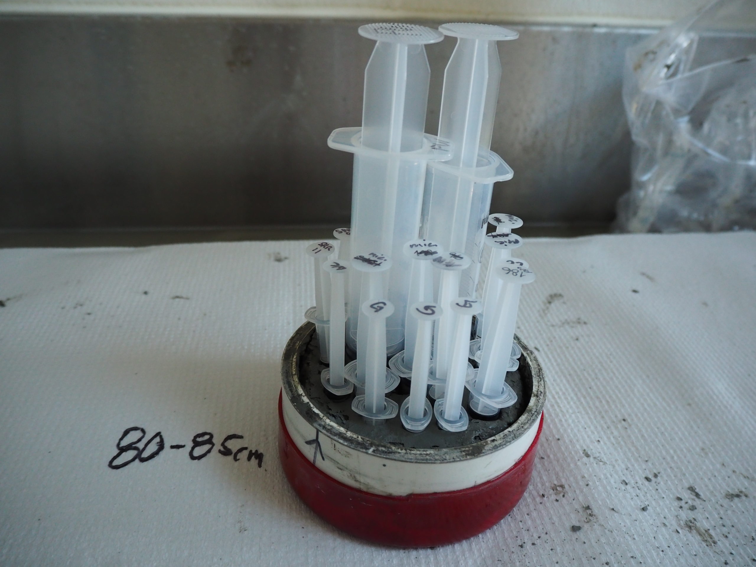 Home - Ryan A. Venturelli